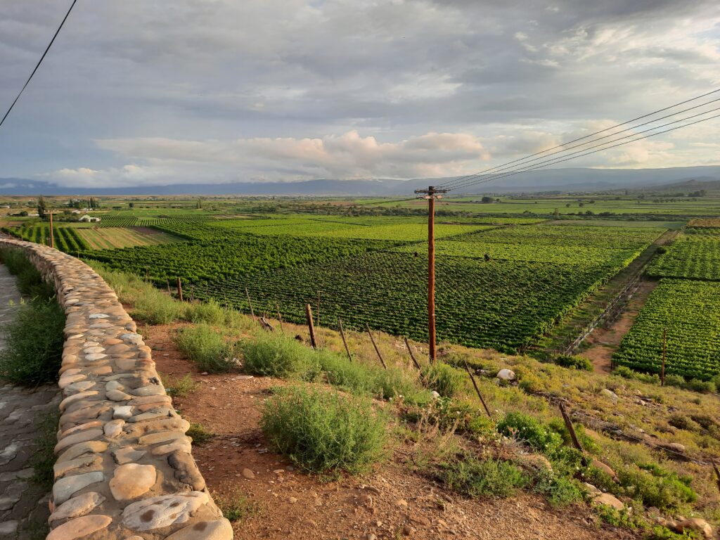 Calitzdorp Tourism Gallery Gallery