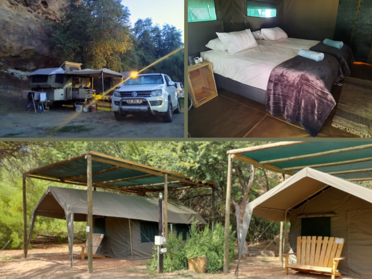 Caravan and Campsites