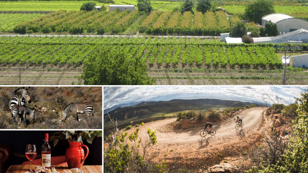 UNIQUE THINGS TO DO IN CALITZDORP