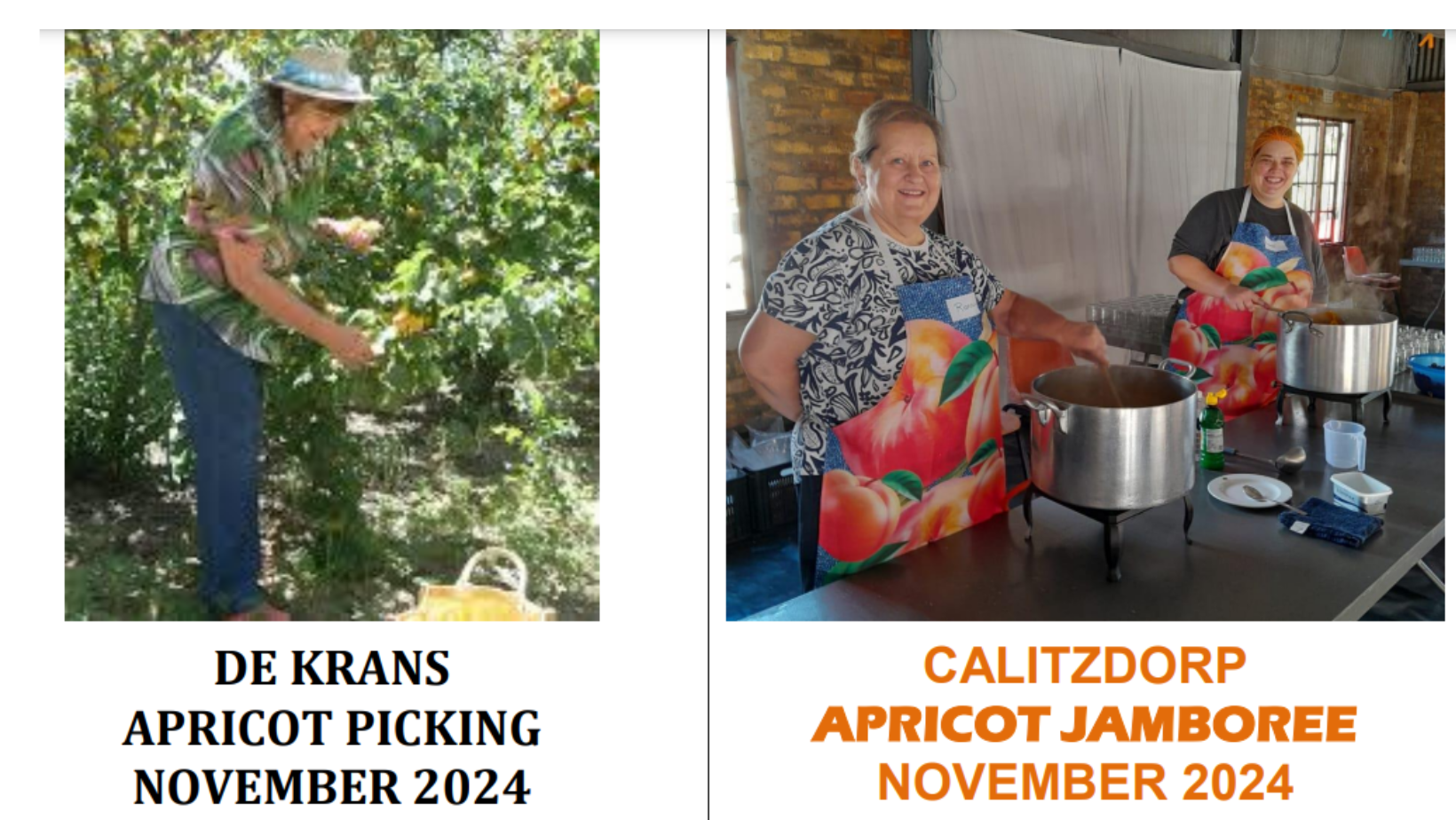 Calitzdorp | Port capital the place to be